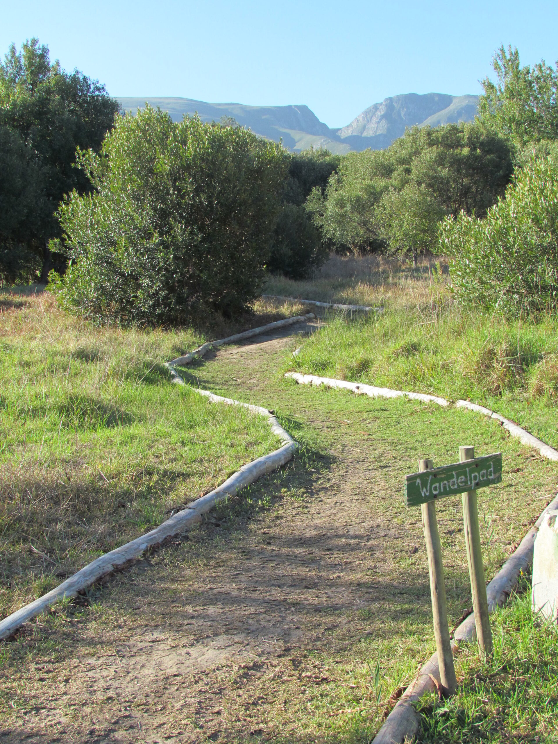 Riverside Meander – Stanford Conservation Trust